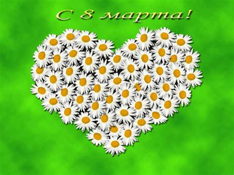 С днем рождения ромашки 76 фото