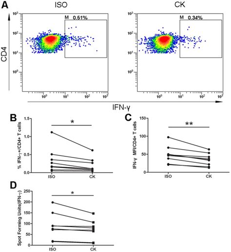 A Representative Flow Cytometric Plots Showing Ifn γ Production In Download Scientific
