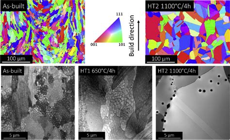 Orientation Ebsd Maps And Bf Stem Micrographs Showing Microstructure Of Download Scientific