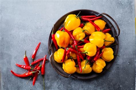 Premium Photo Chilli Pattern With A Pastel Background Pattern Background Design