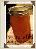 Beginner S Guide To Homemade Maple Syrup HubPages