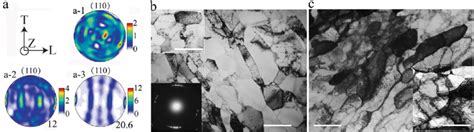 Evolution Of Texture And Dislocation Density A A 1 Initial Download Scientific Diagram