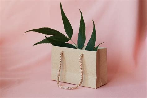 ქაღალდის ჩანთა