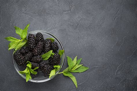잘 익은 블랙베리와 그린 민트 유리 접시 블랙 표면에 나뭇잎 0명에 대한 스톡 사진 및 기타 이미지 0명 건강한 생활방식 건강한 식생활 Istock