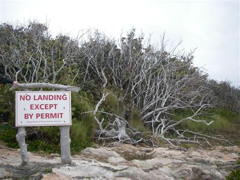 Nonsuch Island Bermuda Beautiful