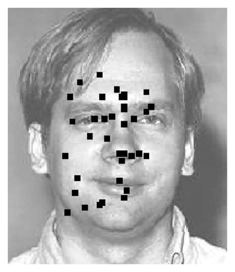 Center Of The Gabor Wavelets On A Sample Face Which Are Selected By The Download Scientific