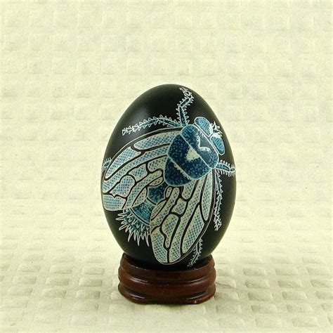 Life Cycle Of Calliphora Vomitoria