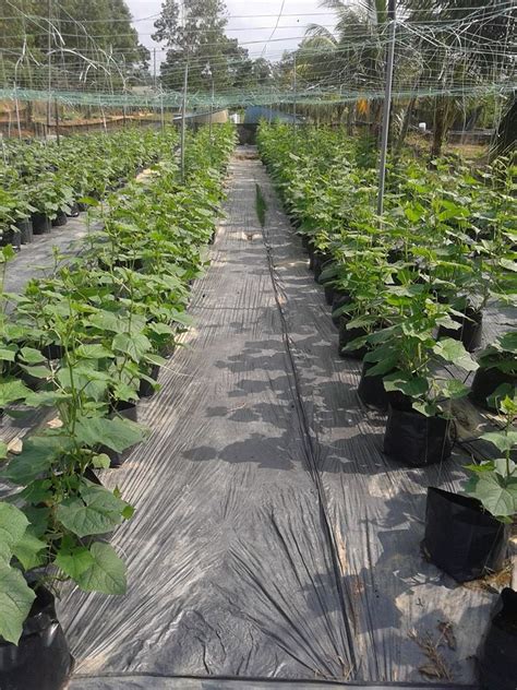 Diphoterine And Hexafluorine Malaysia Briefing Session About