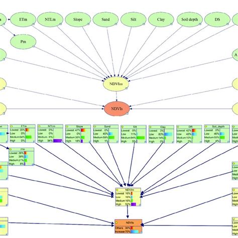 Bayesian Conceptual Network And Parametric Results Of Forest Download Scientific Diagram