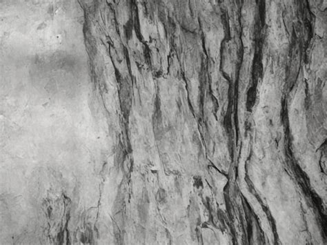 추상적인 배경 디자인 이미지 벽지 Ai 생성 프리미엄 Ai 생성 이미지