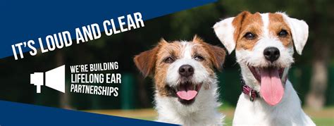 Otitis Externa Duotic Launch