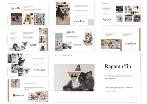 Kitten Powerpoint Template Masterbundles