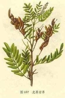 佳简：被称为 美白黄金 ”的光果甘草，你真的了解吗？皮肤成分修护