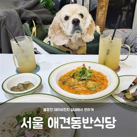 서울 애견동반식당 불광천 데이브런치 실내에서 편하개 네이버 블로그