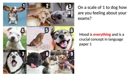 Aqa English Language Paper 1 Wtm Walking Talking Mock 2024 With