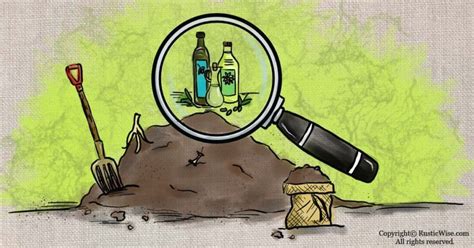 Can You Compost Shrimp Shells How Shrimp Shells Help Your Garden Rusticwise