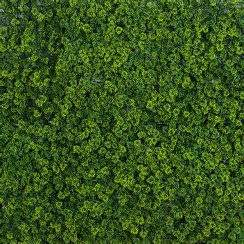 20” X 20” Uv Resistant Irish Green Meadow Artificial Living Wall Panels