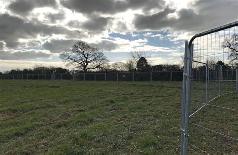 Tree Protection Fencing Climbers Way Tree Care