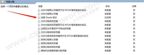出现身份验证错误，要求的函数不受支持。这可能是由于credssp加密oracle修正cs框架网
