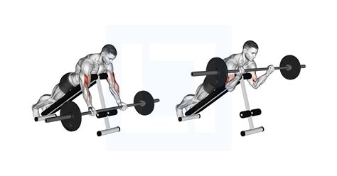 Cheat Curl Guide Benefits And Form