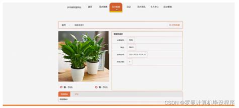Python Django毕业设计多肉植物屋网站程序 LW CSDN博客