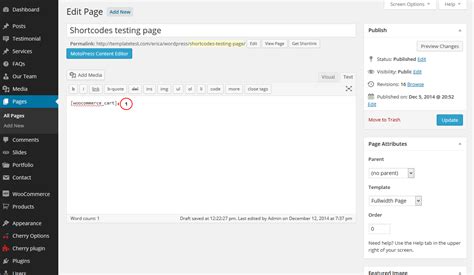 Woocommerce How To Use Plugin Shortcodes Template Monster Help