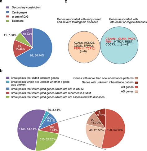 Classification Of Breakpoints Location A Classifications Of Download Scientific Diagram