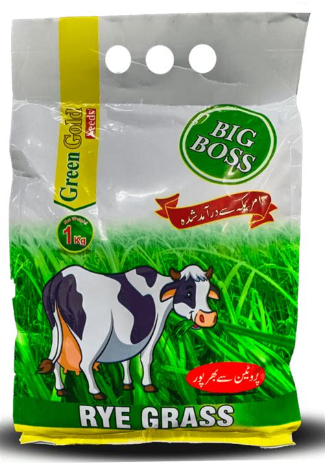 Fodder Grasses Green Gold Agri Seedspvtltd