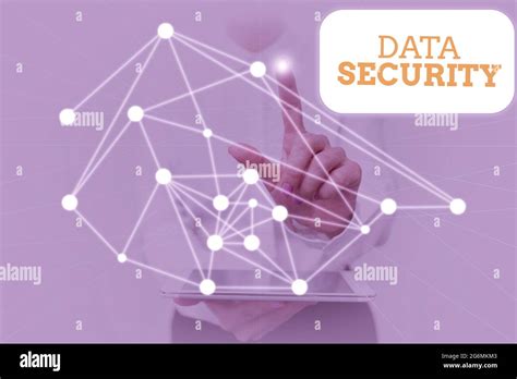 Conceptual Display Data Security Business Showcase Protected Important An Individualal Data