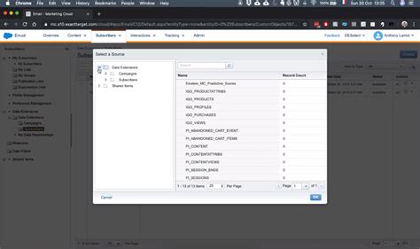 How To Create A Filtered Data Extension In Salesforce Marketing Cloud