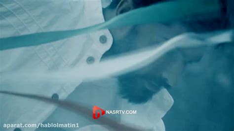 گربه ی مغرور آسیا