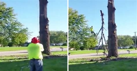 Handyman Goes FLYING While Trying To Cut Down A Tree In Hilarious Video Daily Star