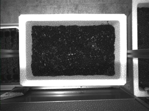 Jetson Xavier Nx Camera Capture Error Jetson Agx Xavier Nvidia Developer Forums