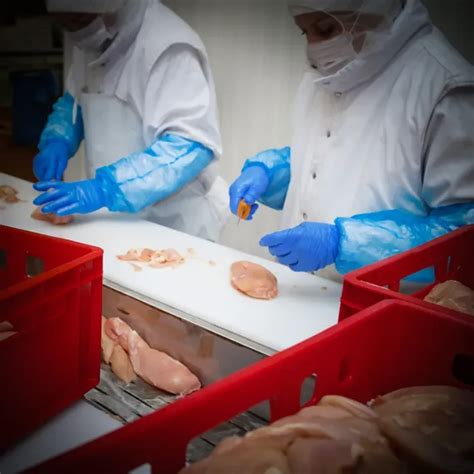 Solutions Avery Weigh Tronix