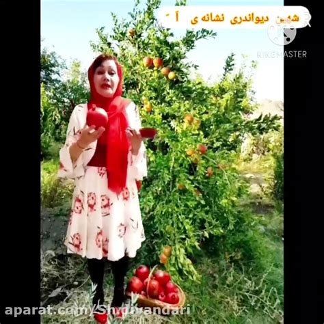 ایجاد انگیزه نشانه ی اَ