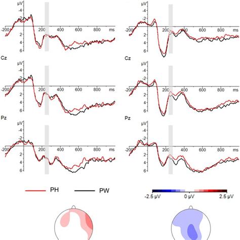 Erp Results For Experiment 1 Semantic Categorization Task Top Grand