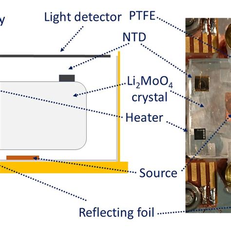Scheme Left And Photograph Right Of The Detector Assembly A Li 2 Download Scientific