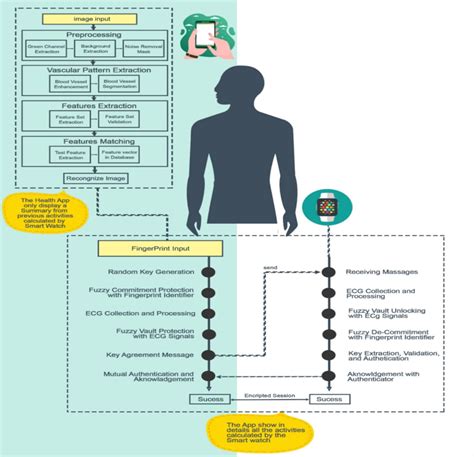 The Improvement Of The Multi Biometric And Physiological Signal Based Download Scientific