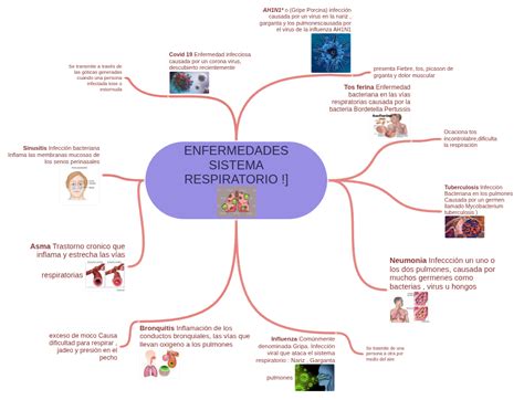 Enfermedades Sistema Respiratorio Istockphoto 1212569544 1024x1024