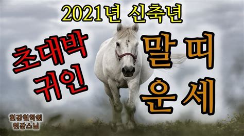 2021신축년 초대박 말띠운세 Youtube