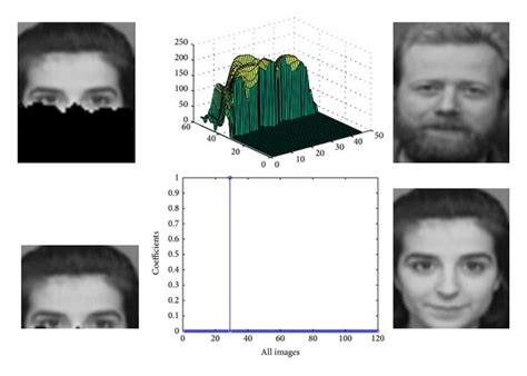 Applying The Occluded Image Left Top Directly To The Algorithm We Download Scientific