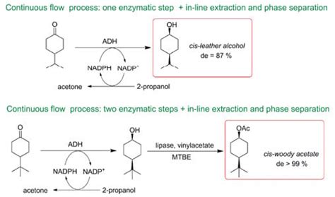 Continuous Flow Biocatalytic Process For The Synthesis Of The Best
