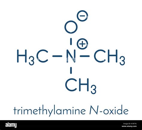 Trimethylamine N Oxide Tmao Molecule Skeletal Formula Stock Vector Image And Art Alamy