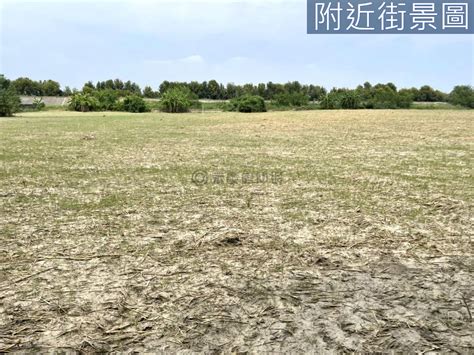 嘉義水上外溪洲583坪便宜一般農地 嘉義縣水上鄉溪安段房屋 Yc0135819 永慶不動產