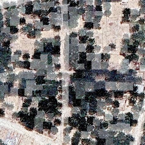 Palm Tree Detection Palm Tree Detection Rvh0v Roboflow Universe