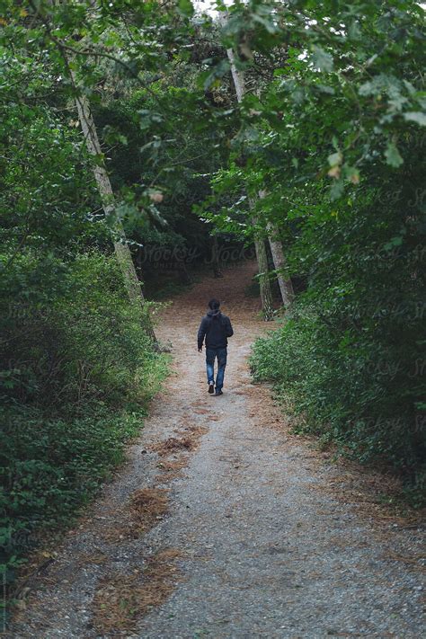 Man Walking Down A Path In A Forest By Stocksy Contributor Denni Van Huis Stocksy