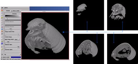 Acknowledgement Visualization Matters By Openstax Page 44 Jobilize