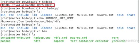 报错invalid Hadoophdfshomeinvalid Hdfshome Csdn博客