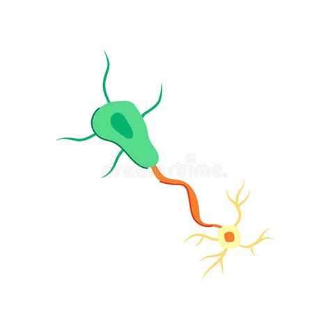Synapse Neurons Cartoon Vector Illustration Stock Vector Illustration