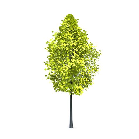 Colorful Tree Isolated On Transparent 21277161 PNG Colorful Tree Isolated On Transparent 21277161 PNG